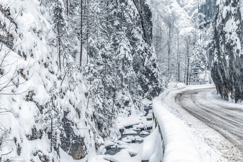 Snowy Wonderful stock photo. Image of snow, thanksgiving - 973846 Snowy Wonderful stock photo. Image of snow, thanksgiving - 973846