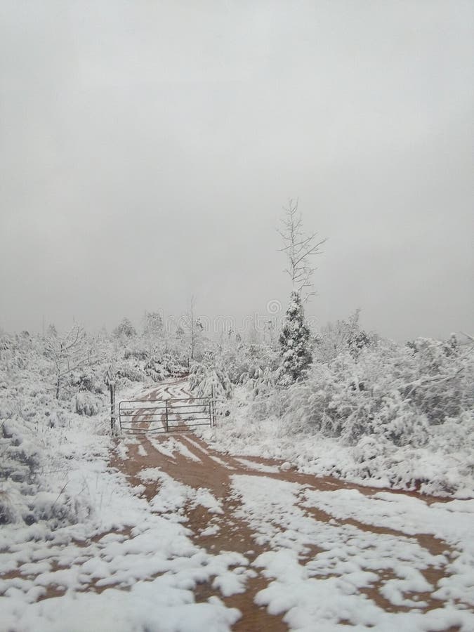 Wintery trail stock photo. Image of trail, snowy, wintery - 127859570