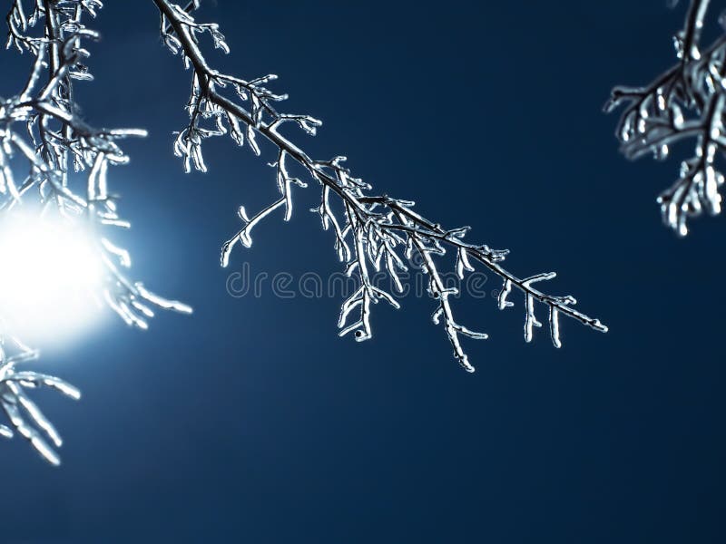 Wintry stock image. Image of blue, night, monochrome - 17589533