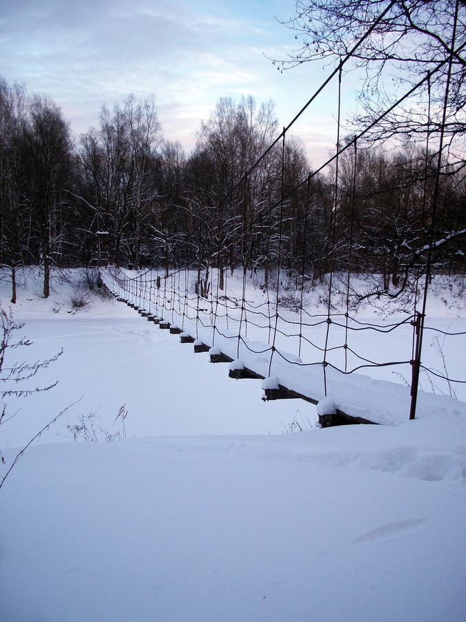 Wintry evening stock image. Image of wintry, silver, snowing - 43161645