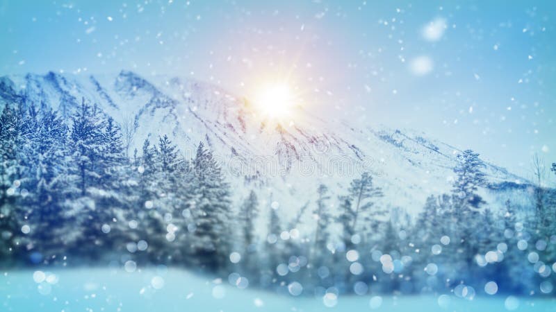 Wintry Forest Christmas Scene Stock Photo - Image of frozen, nature ...