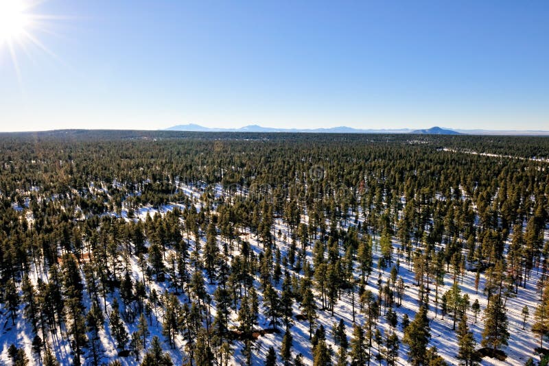 Wintry forest landscape stock photo. Image of outside - 7926348