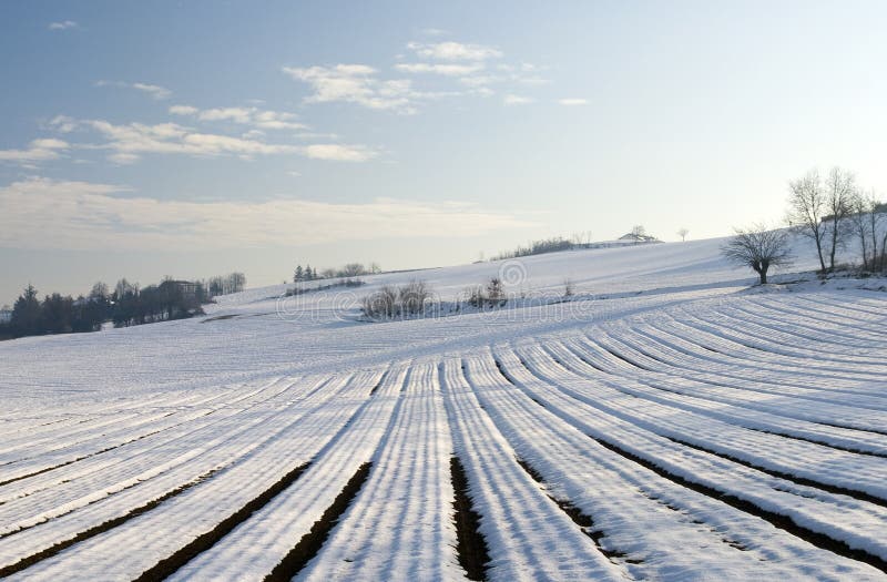 Wintry landscape stock image. Image of footprint, perspective - 12281621