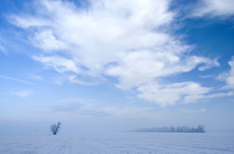 Wintry landscape stock photo. Image of season, tree, clouds - 12281904
