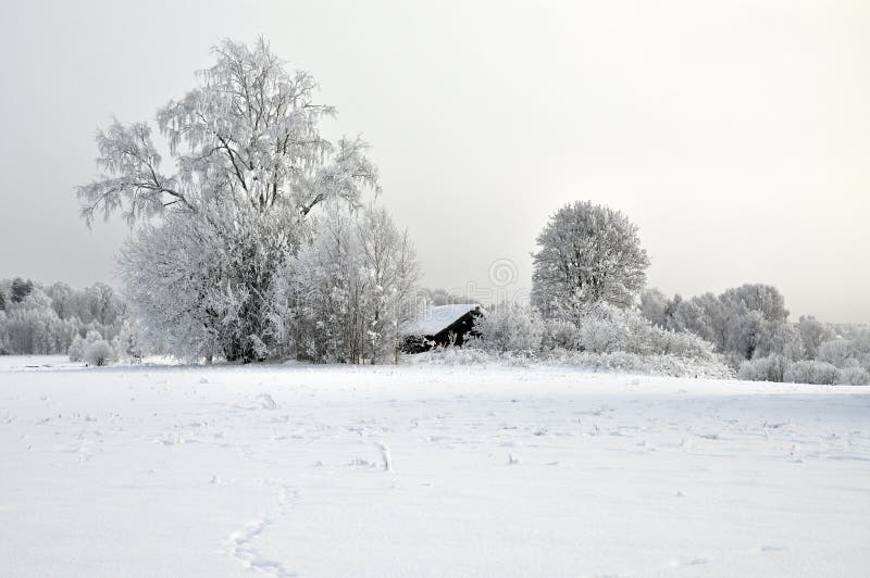 Wintry landscape stock photo. Image of deep, country - 12570466