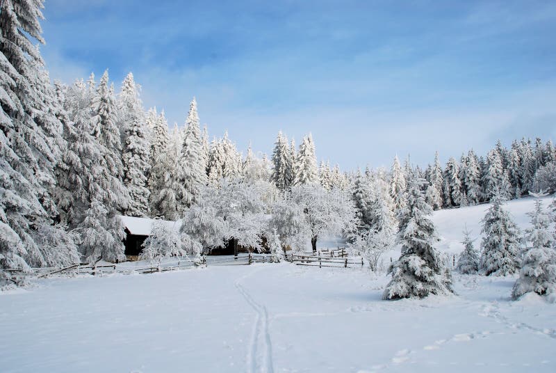 Wintry Landscape stock image. Image of scenery, wintry - 12682787