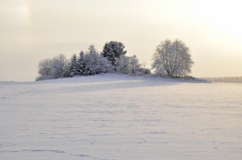 Wintry landscape stock photo. Image of country, snow - 17728582