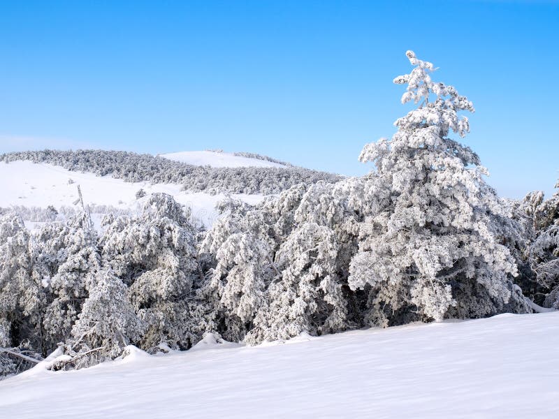 Wintry landscape. stock image. Image of pure, frost, tranquil - 22613953