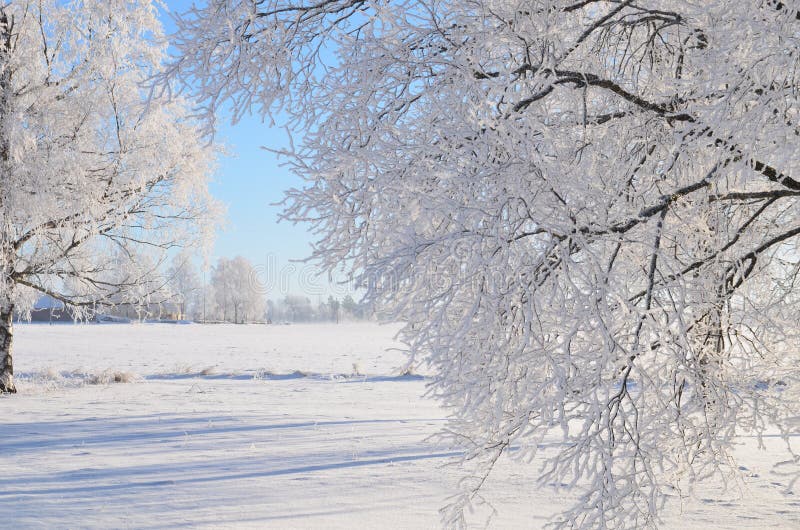 Wintry landscape stock photo. Image of closeup, colorful - 28808194