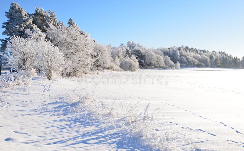 Wintry landscape stock image. Image of outdoors, snow - 28808199