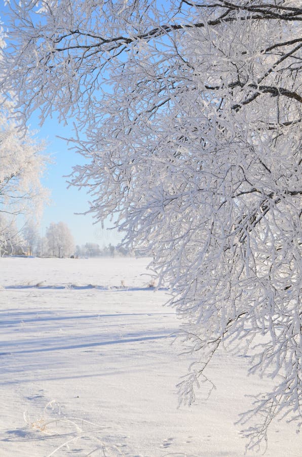 Wintry landscape stock image. Image of nordic, seasonal - 28849931