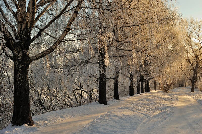 Wintry landscape stock photo. Image of snowfall, frozen - 8325252