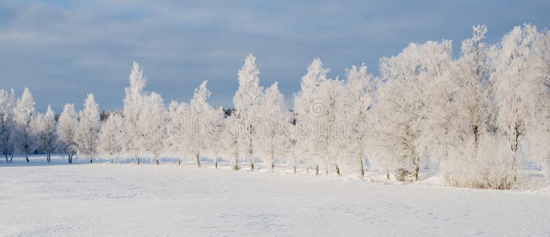 Wintry landscape stock image. Image of background, frost - 65497303