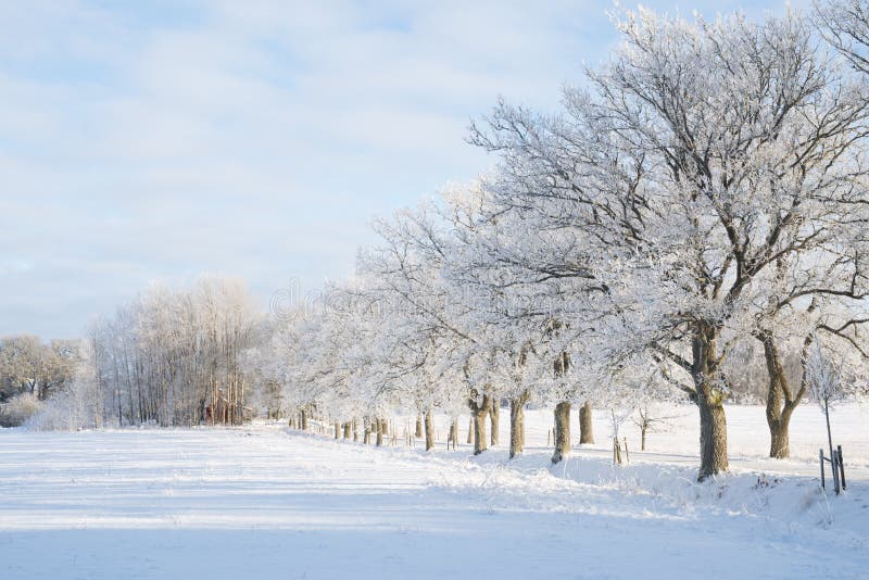 Wintry landscape stock image. Image of frosty, cool, nature - 65668825