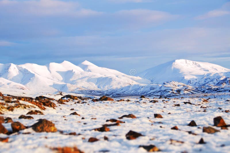 Wintry Landscape from Iceland Stock Photo - Image of tree, dramatic ...