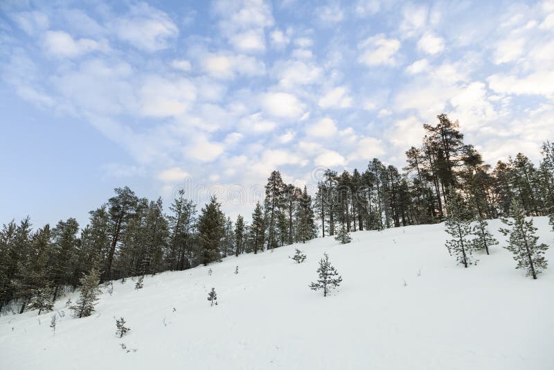 Wintry Landscape in Lapland, Finland Stock Photo - Image of forest ...