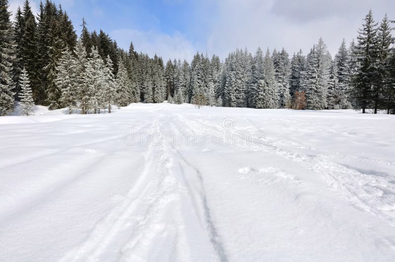 Wintry landscape stock image. Image of path, beauty, forest - 34745629