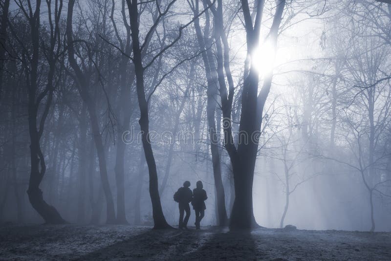 Wintry morning stock photo. Image of light, color, postcard - 1752704