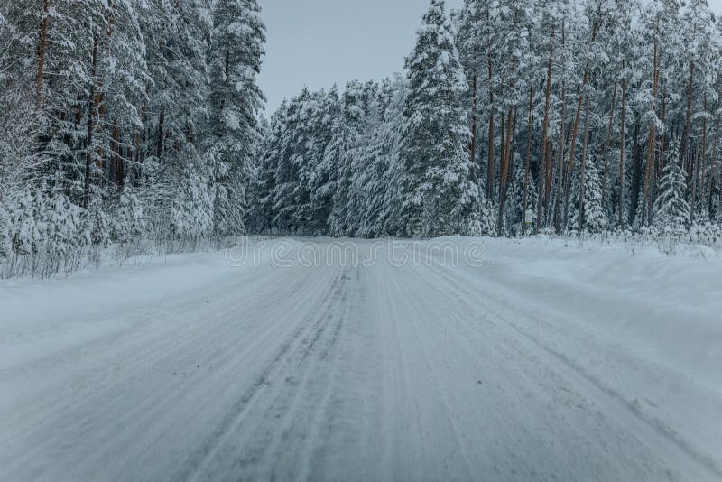 Wintry Path through a Chilly Forest with Snow Covered Trees. Winter ...