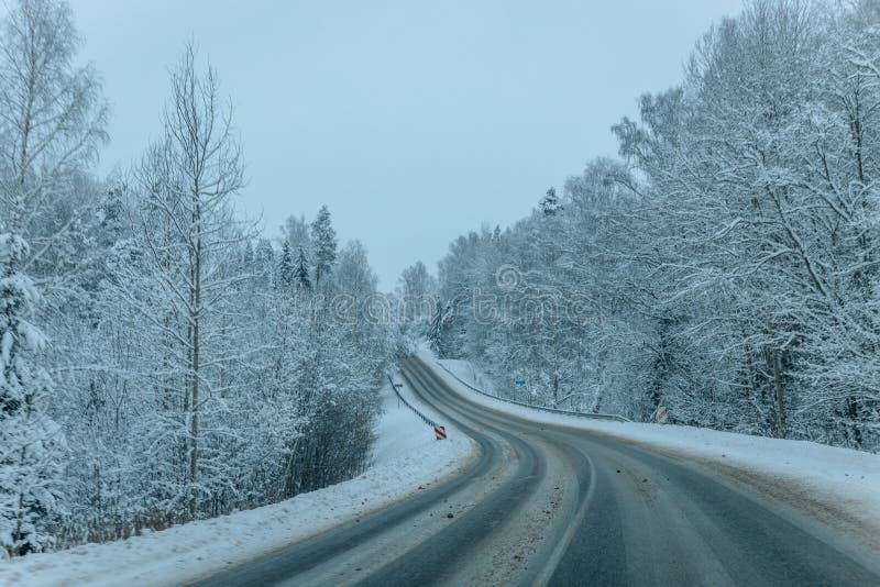 Wintry Path through a Chilly Forest with Snow Covered Trees. Winter ...