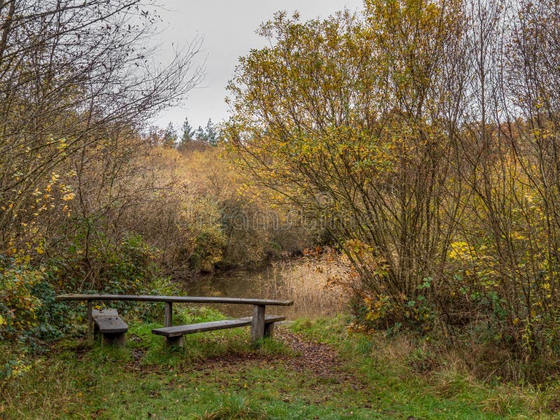 Wintry Pond in Meeth Quarry Nature Reserve, Devon, England. Stock Photo ...