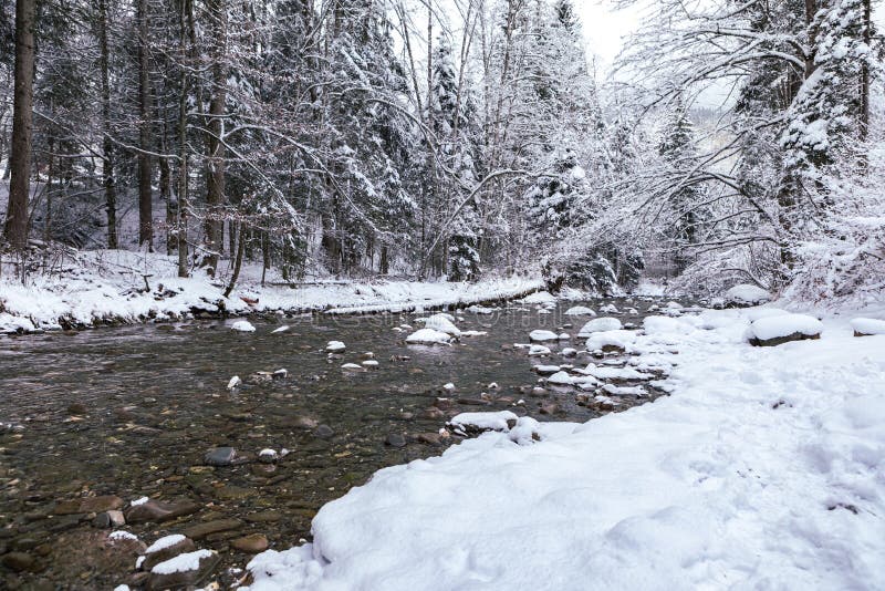 Wintry River Landscape stock image. Image of woods, forest - 2295303