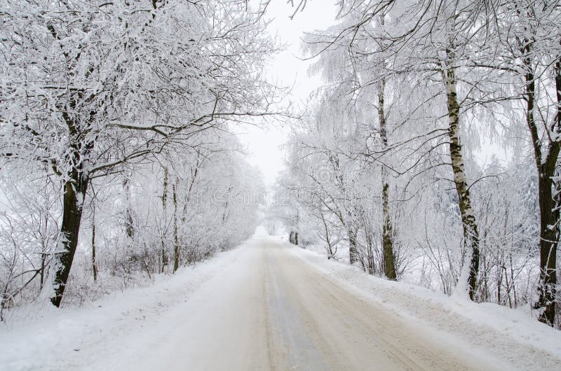 Wintry road with snow stock photo. Image of weather, country - 31373248