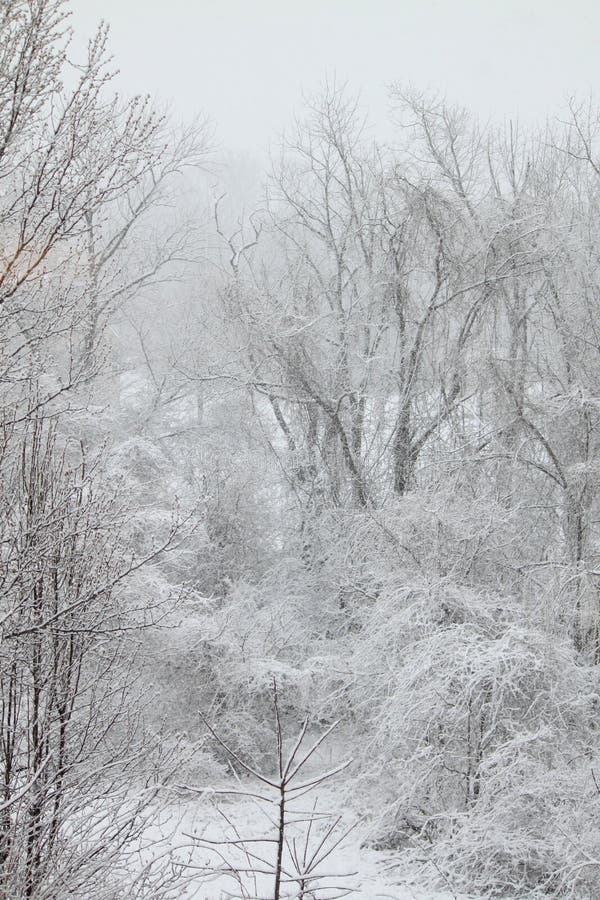 Wintry Scene stock image. Image of area, blue, covered - 88591055