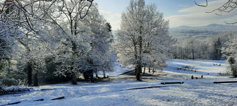 Wintry season snow stock image. Image of frost, wintry - 208996689