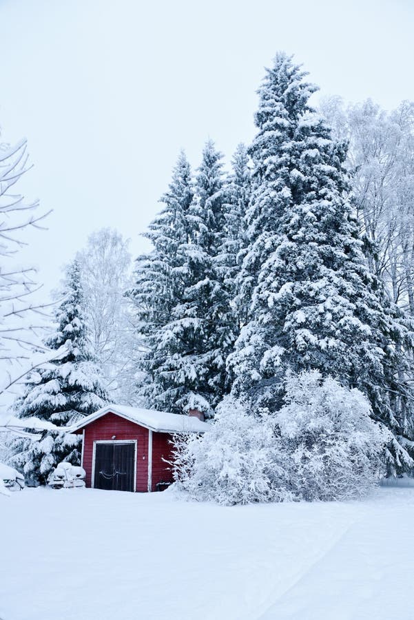 Wintry Snow Covered Nature in Finland Stock Image - Image of cottage ...
