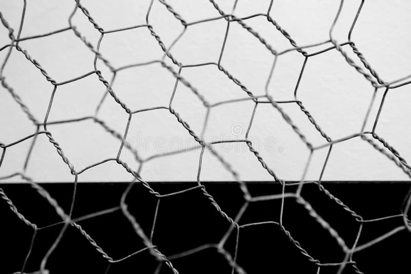 176 Pattern Chicken Wire Stock Photos - Free & Royalty-Free Stock ...