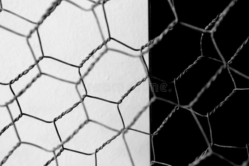 176 Pattern Chicken Wire Stock Photos - Free & Royalty-Free Stock ...
