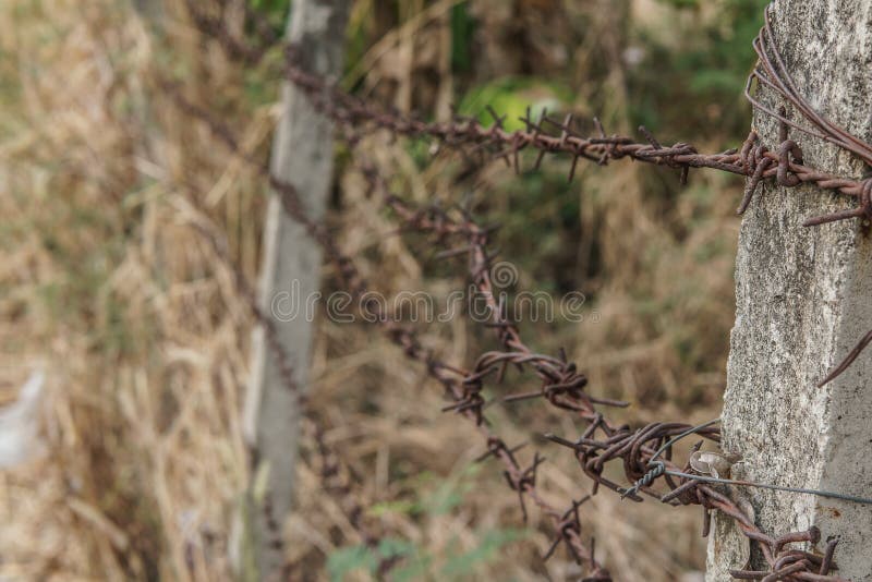 182 Barbed Stick Stock Photos - Free & Royalty-Free Stock Photos from ...