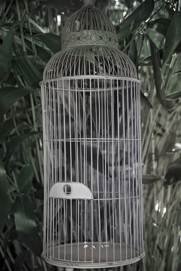 Wire Bird Cage Decorative Feature Stock Image - Image of captivity ...