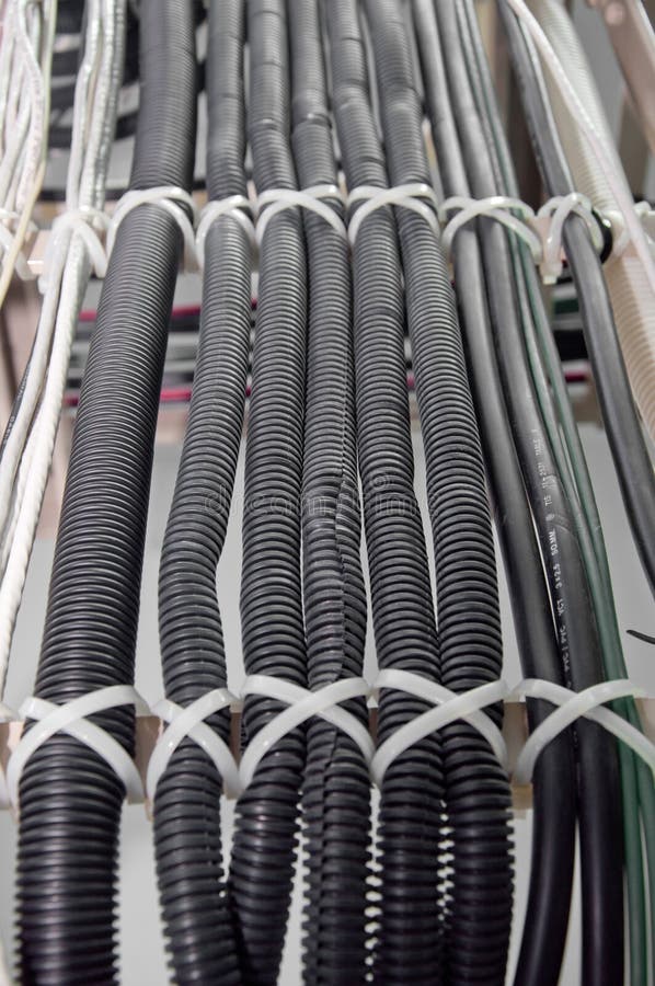 Cable Computer Bus with Plug Stock Photo - Image of connect, bandwidth ...