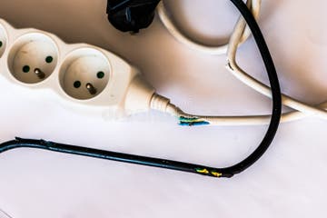 Rat Chewing Cable Stock Photos - Free & Royalty-Free Stock Photos from ...