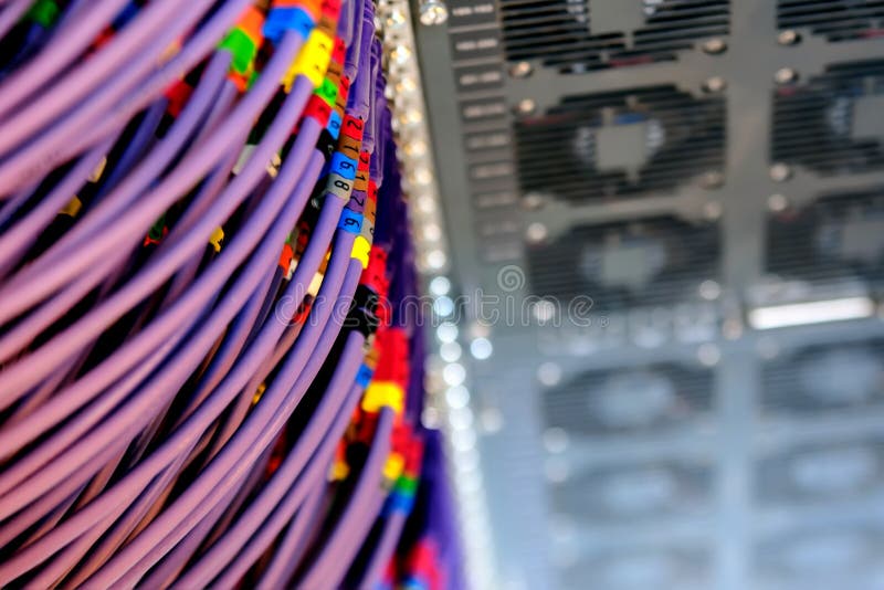 Wire Connected To the Server Stock Photo - Image of internet ...