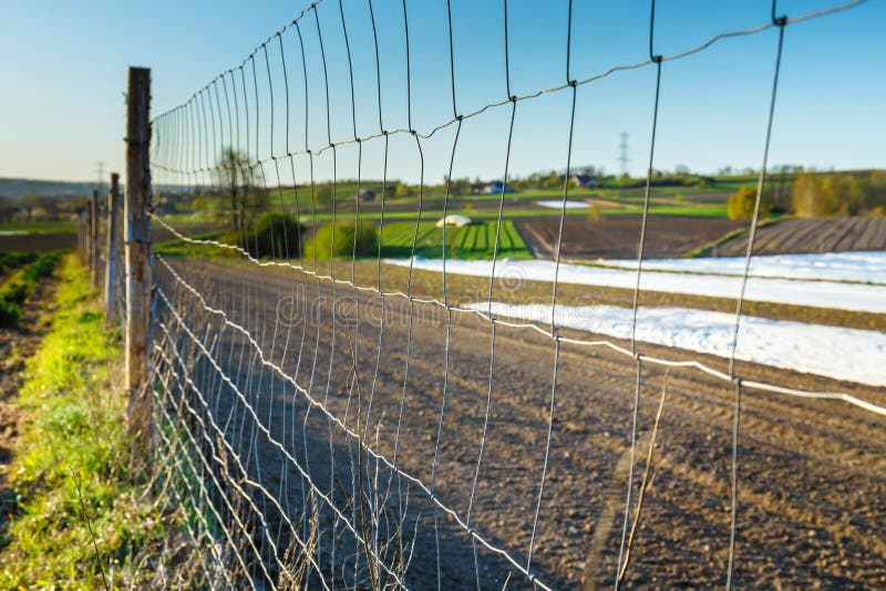 Wire farming fence stock image. Image of field, industrial - 179912745
