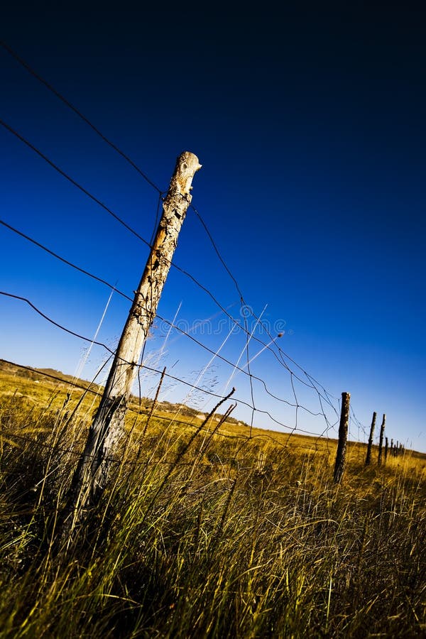 Fence stock image. Image of meadow, outback, fever, herd - 529767