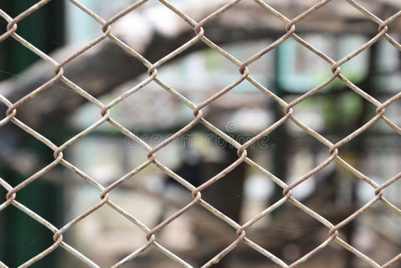 Wire fence stock photo. Image of mesh, barrier, link - 149200080