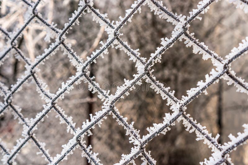 Wire Fence Completely Covered with Frost Stock Photo - Image of nature ...