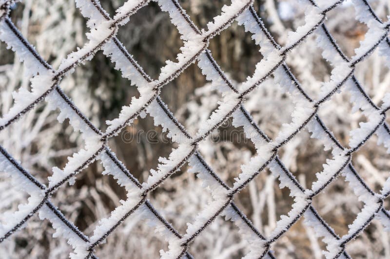 Wire Fence Completely Covered with Frost Stock Image - Image of border ...