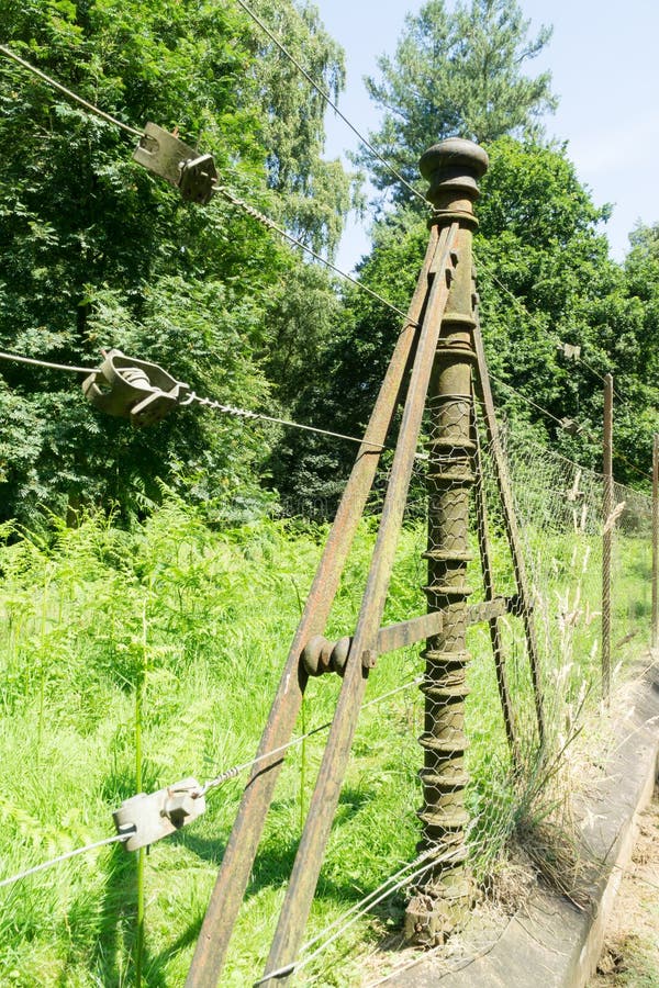 Wire Fence in a Park in Norfolk, UK. Stock Image - Image of grass ...