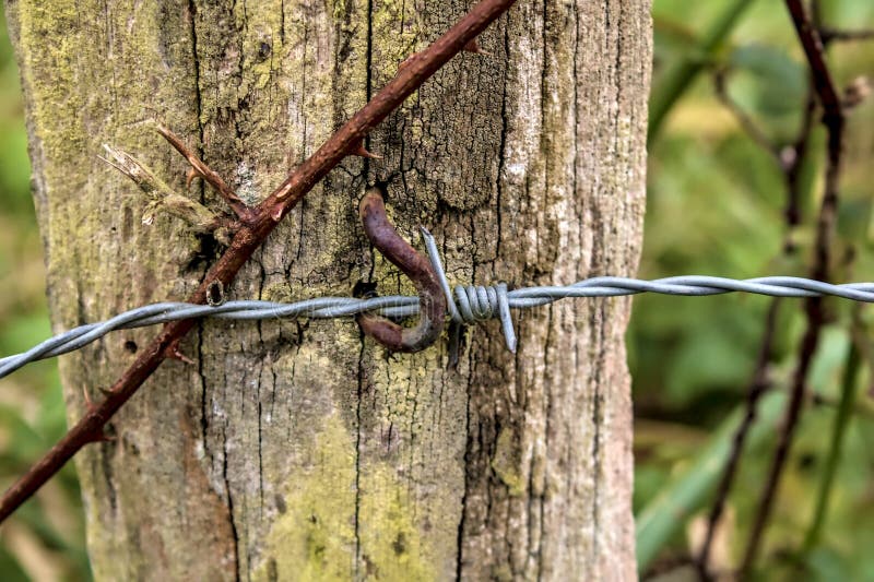 Wire fence post stock image. Image of green, pier, countryside - 350473613