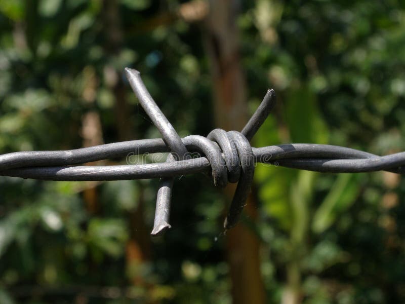 Wire Fence Spike Symbolizing Oppression Stock Image - Image of ...