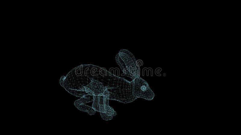 Wire Frame Animation of Rabbit Stock Video - Video of element, effect ...