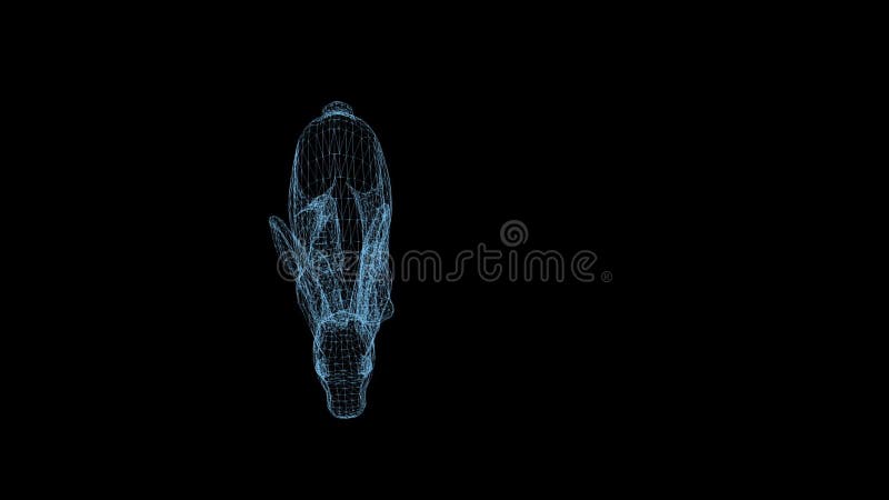 Wire Frame Animation of Rabbit Stock Footage - Video of wild, running ...