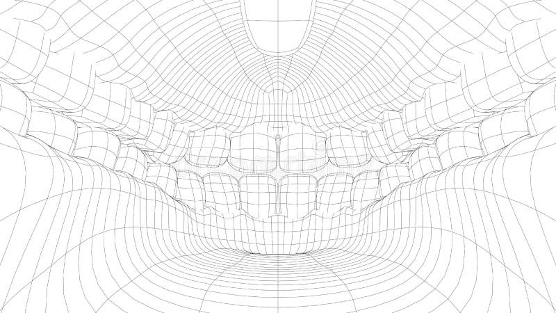 Wire-frame 3D Teeth Close Up. Inside Mouth Stock Vector - Illustration ...