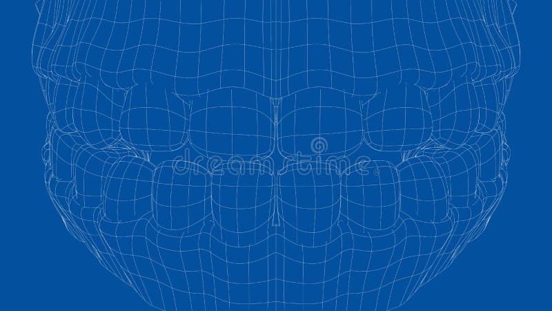 Wire-frame 3D Teeth Close Up Stock Vector - Illustration of orthodontic ...