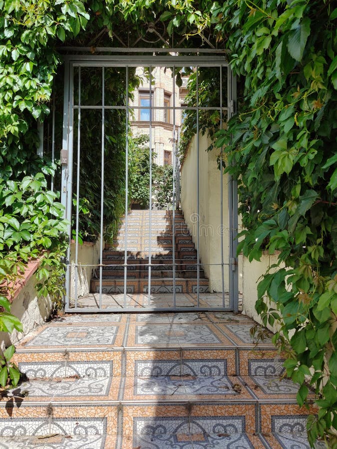 Wire Gate on Stone Steps Made of Tiles. a Vine Weaves Around it Stock ...